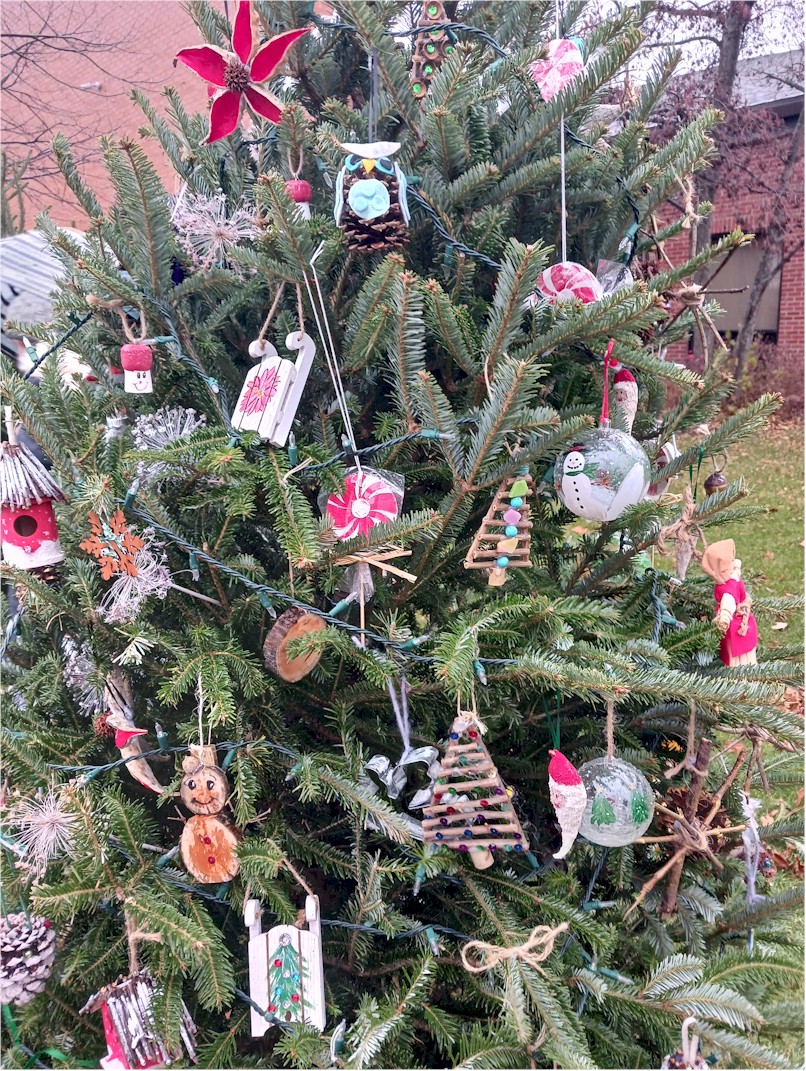 Special Projects – Algonquin Garden Club